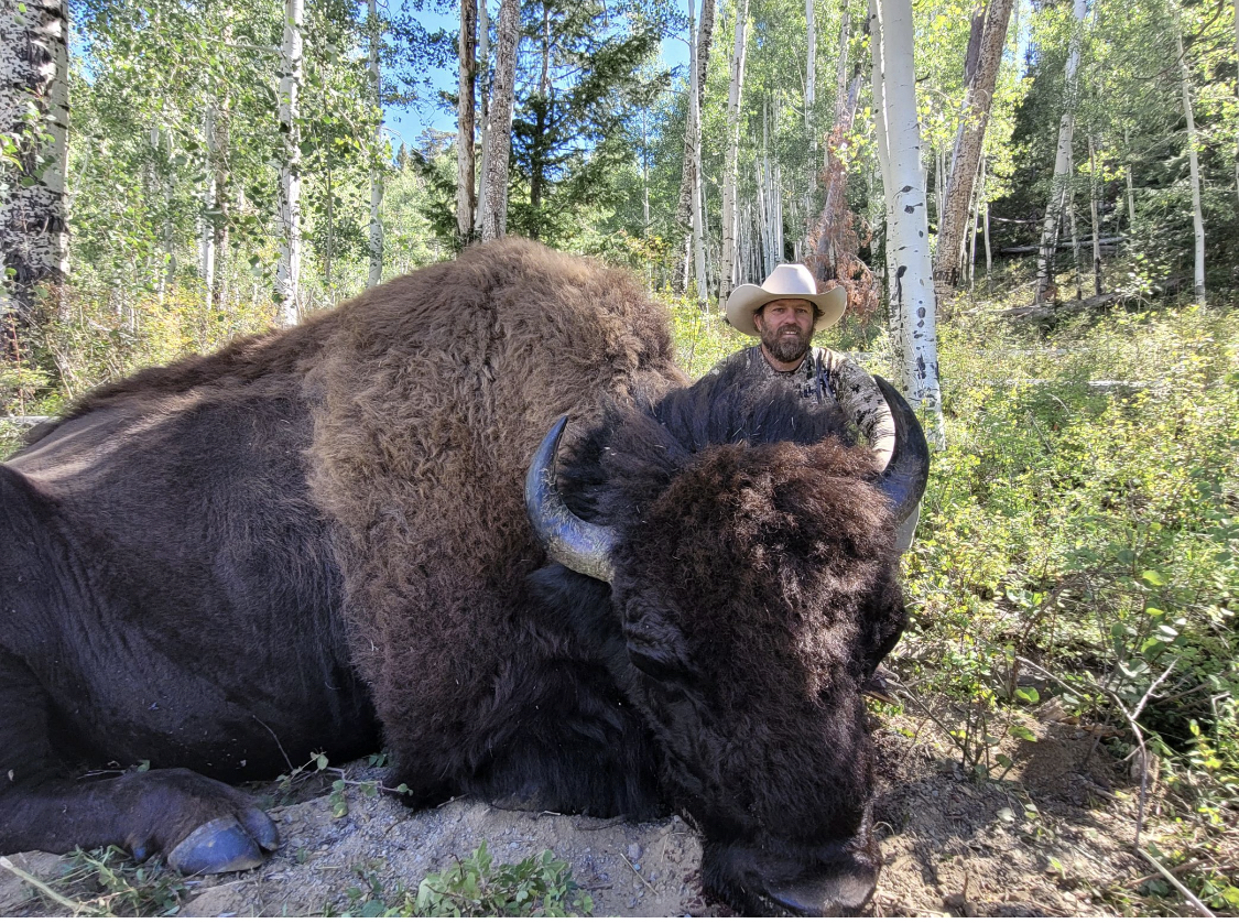 Bison - Utah Big Game Outfitters