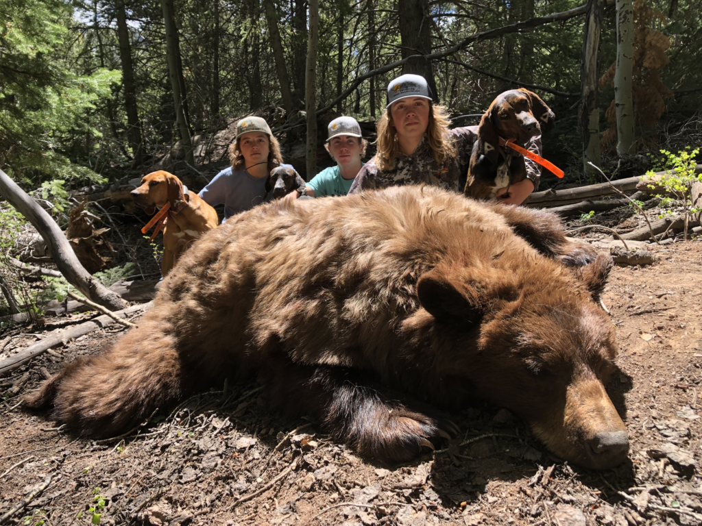 Private Land Bear Hunts - Utah Big Game Outfitters