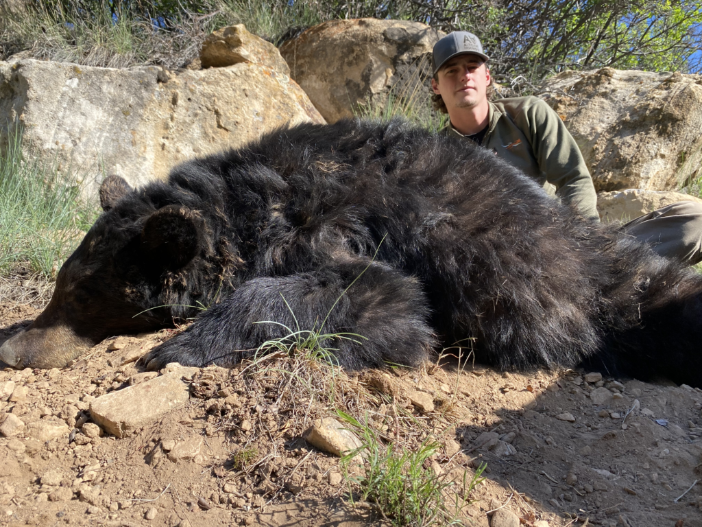 Private Land Bear Hunts - Utah Big Game Outfitters