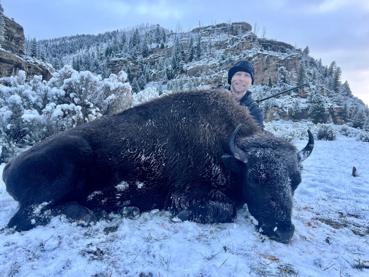 Bison - Utah Big Game Outfitters