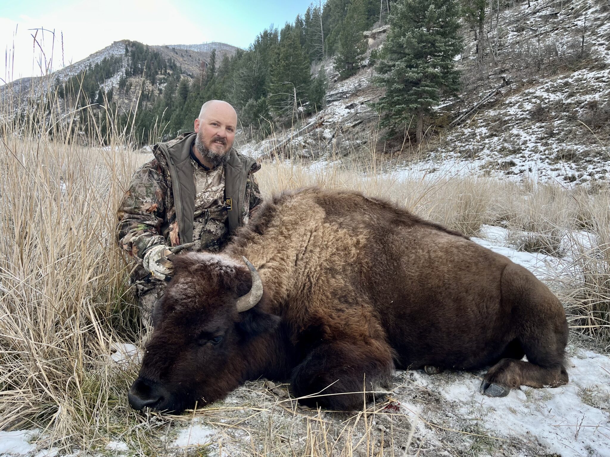Bison - Utah Big Game Outfitters
