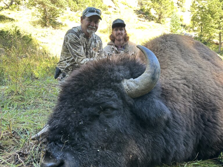 Bison - Utah Big Game Outfitters