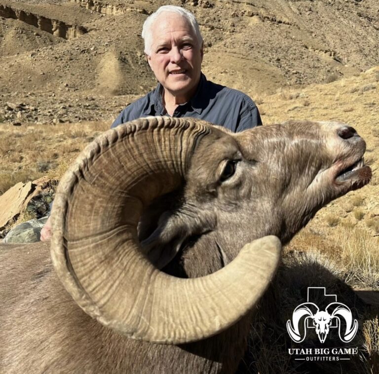 Bighorn Sheep Hunting Utah | Desert Bighorn Sheep Hunting - Utah Big ...