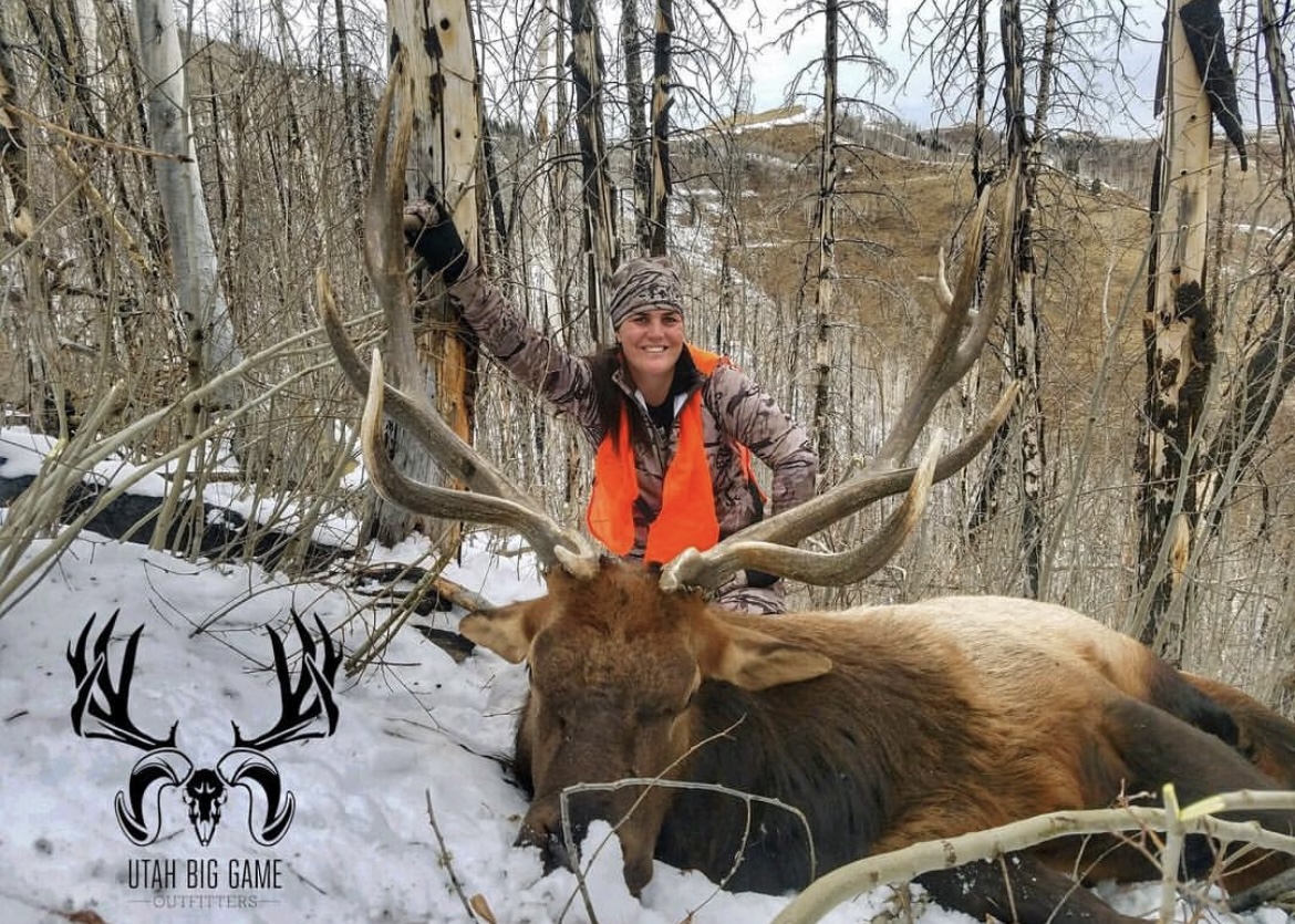 Elk Hunting Utah | La Sal, Central Mountains Manti & Bookcliff Elk ...